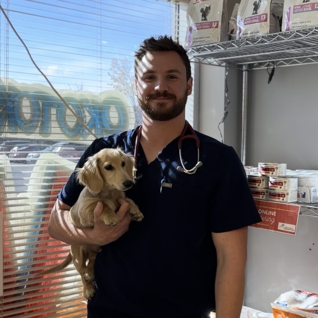 Veterinarians Near Me | Okotoks Veterinary Clinic | Okotoks, AB